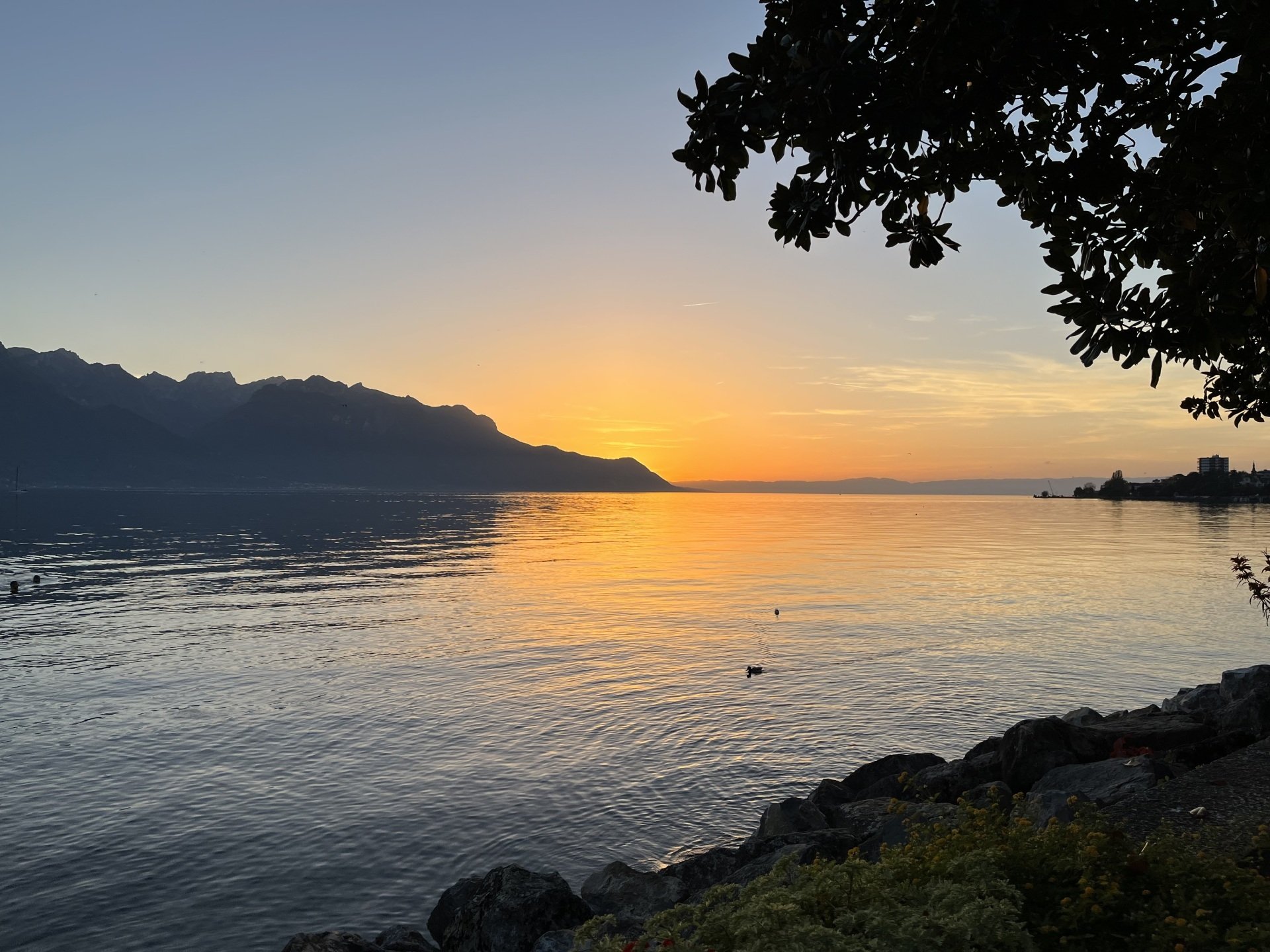 One of the Group Activities for Photographers