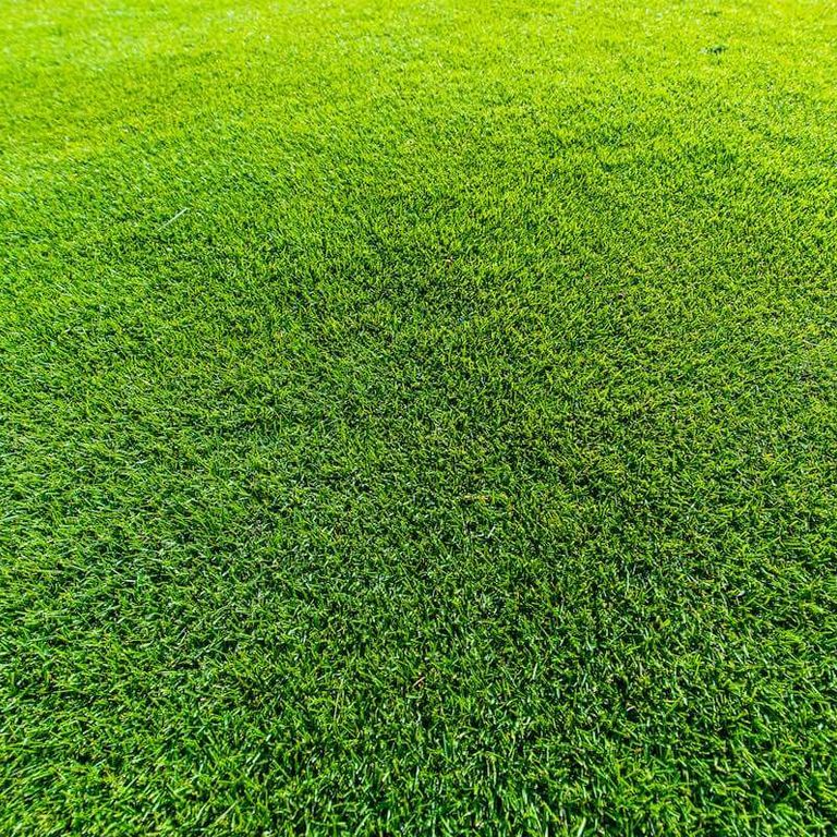 Turf Laying in North Queensland | Top Notch Turf