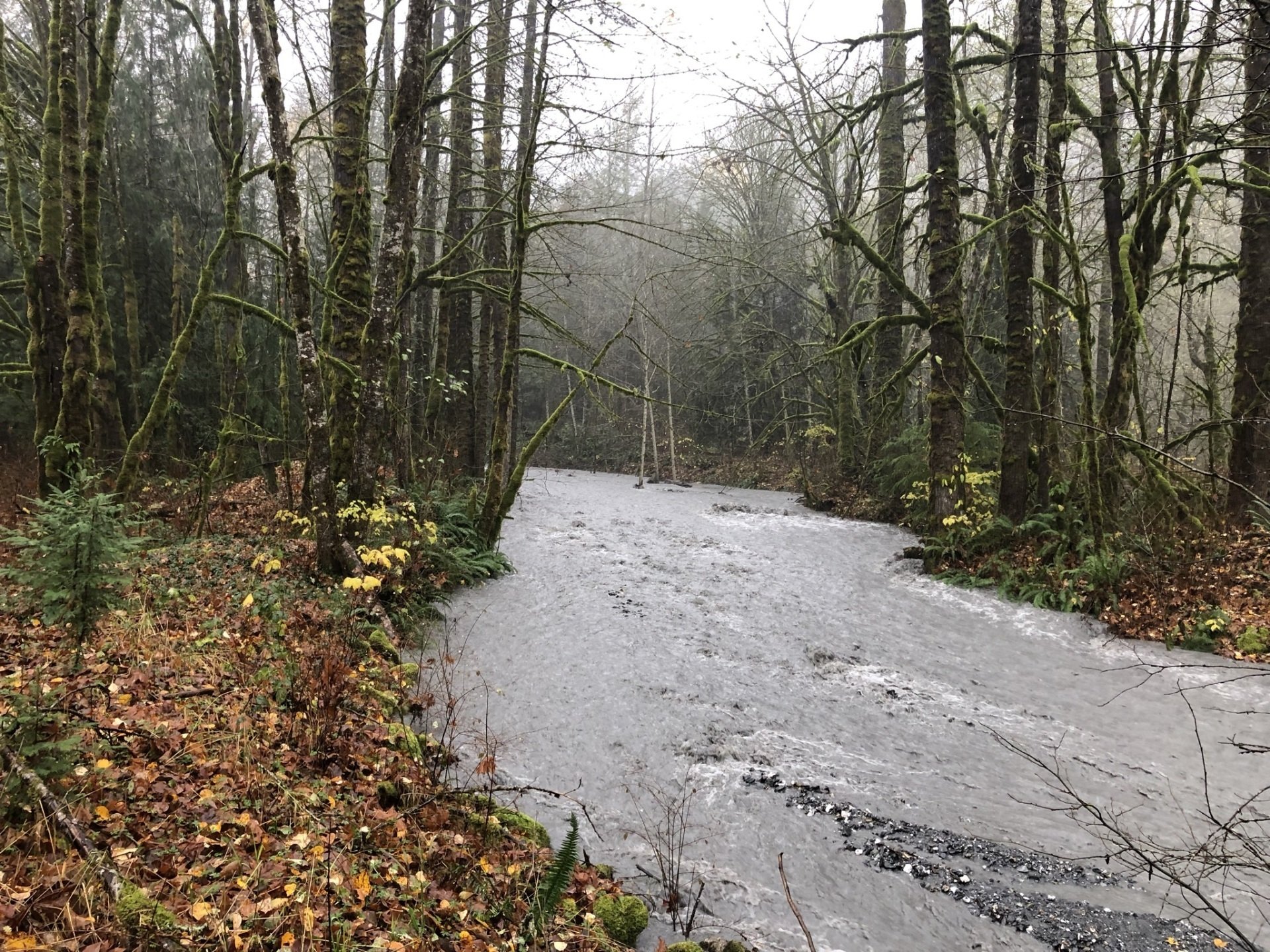 Whatcom County Flooding & Landslides