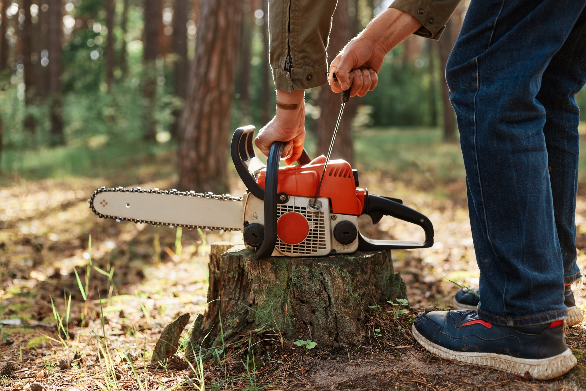 Stump Grinding Service in Palmyra, MI | J & B Tree Service | Serving ...