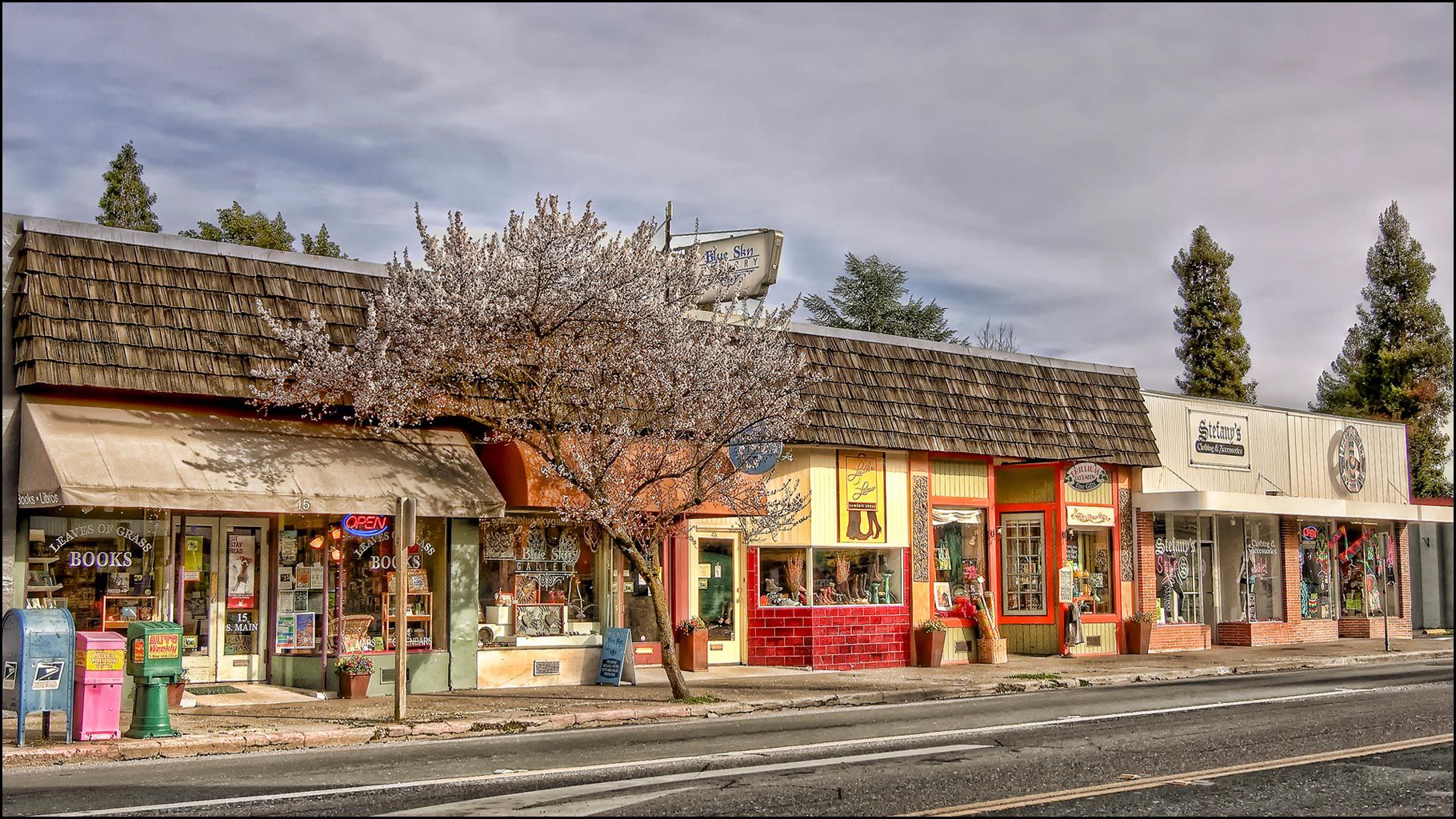Summertime In Willits: Your Gateway to Redwoods, Rodeos & Relaxation!