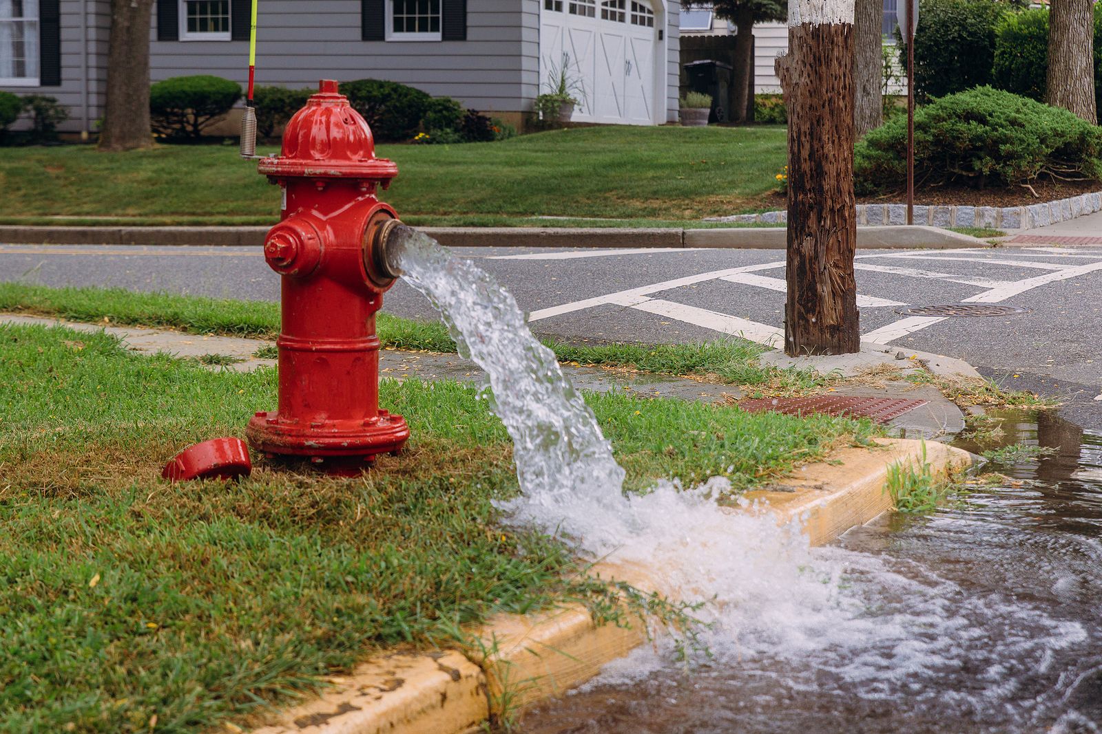 Water Department