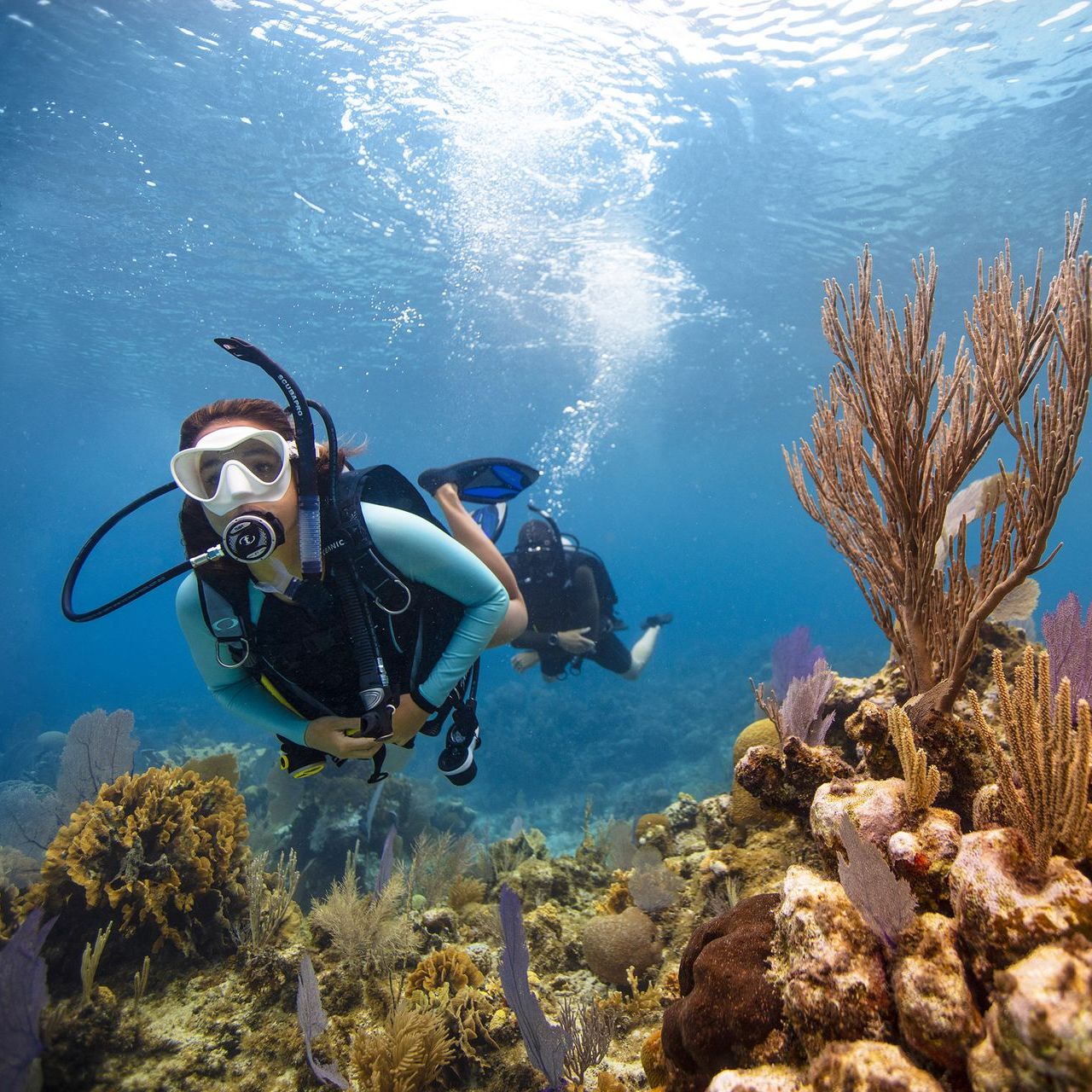 Sea World Baia Diving