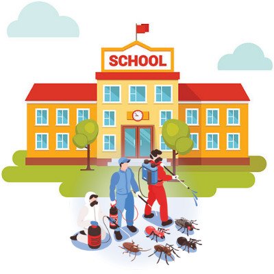 Mice and pest control company | Protech Pest Solutions