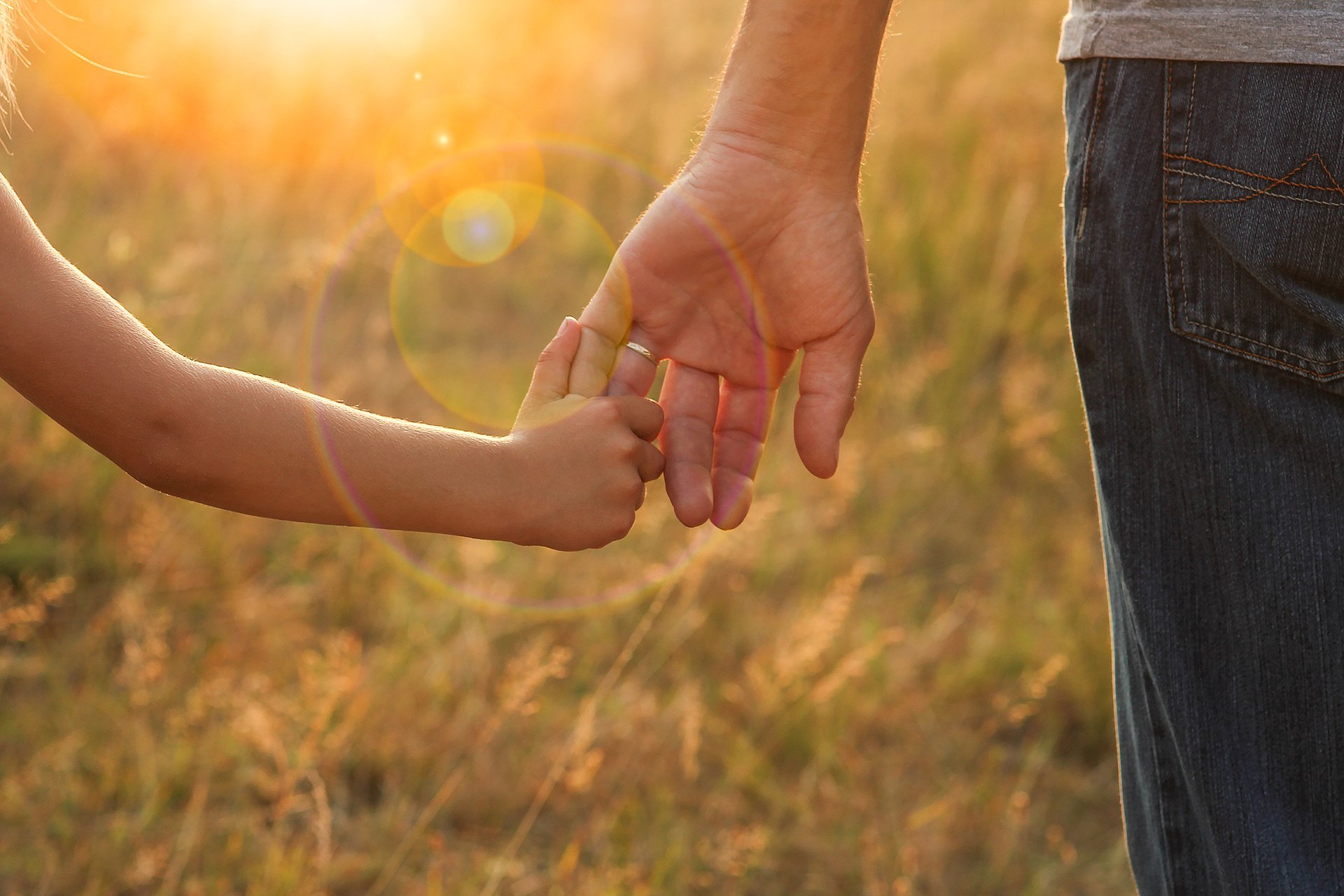 Laura N. Zullo Attorney at Law | Cheshire, CT