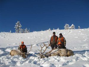 The Trophy Room | Lone Wolf Guide Service