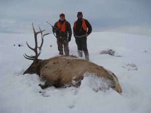 The Trophy Room | Lone Wolf Guide Service