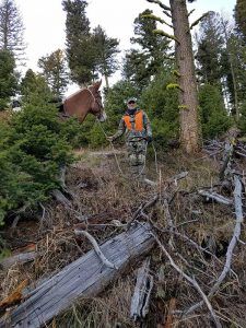 The Trophy Room | Lone Wolf Guide Service