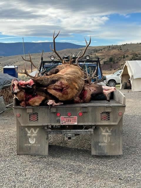 The Trophy Room | Lone Wolf Guide Service