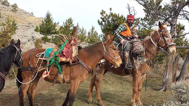 The Trophy Room | Lone Wolf Guide Service