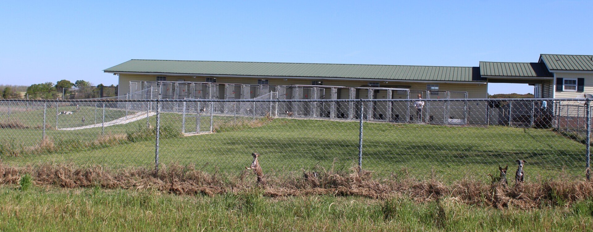Kennel Tour