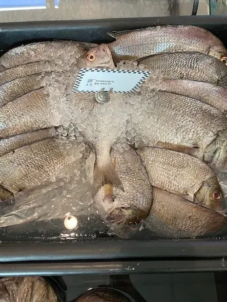 Fresh Seafood Market and Restaurant | Columbus, OH | Frank's Fish and ...