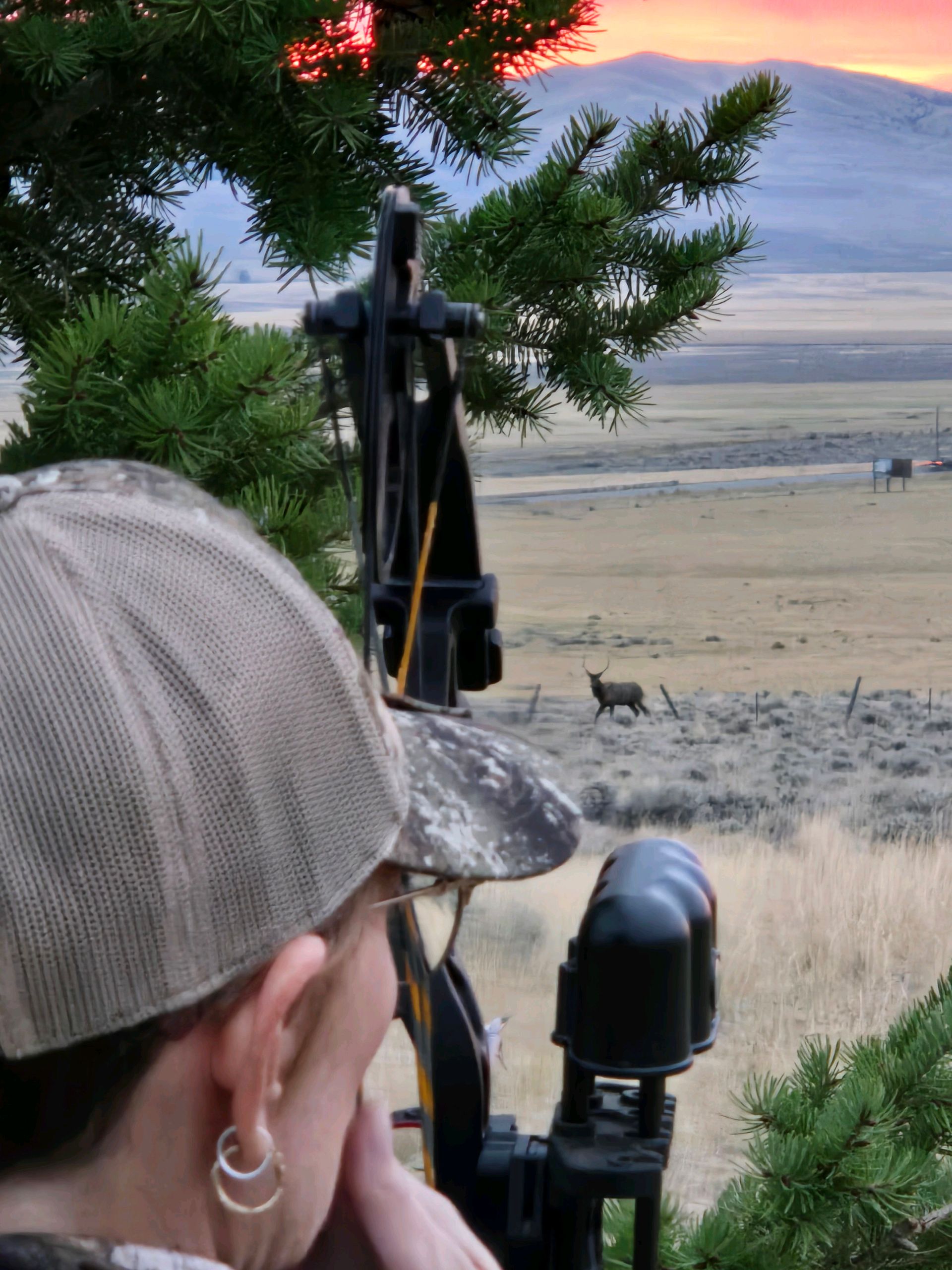 Center For Warriors | Archery Elk Camp