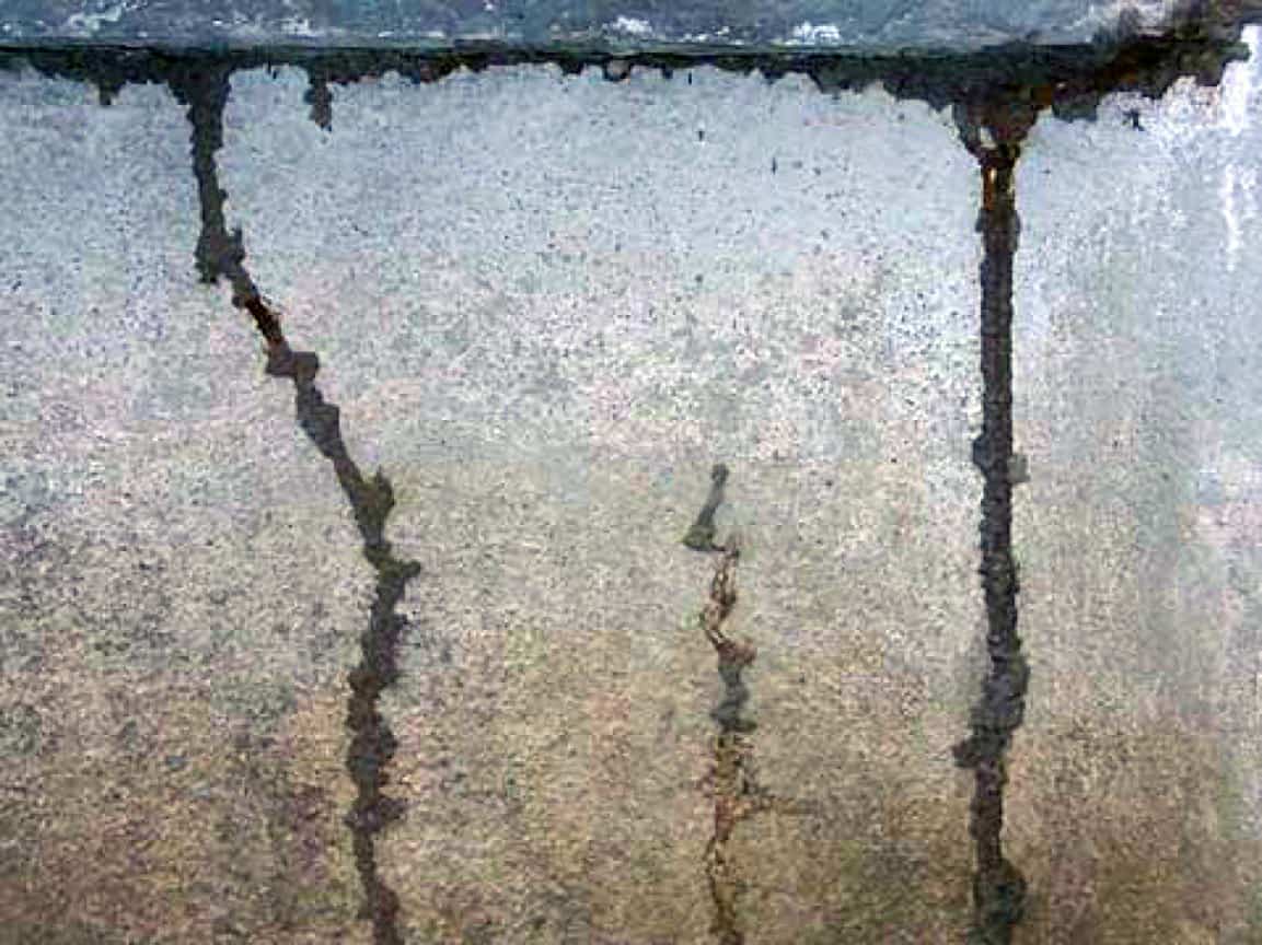 Signs of Termites