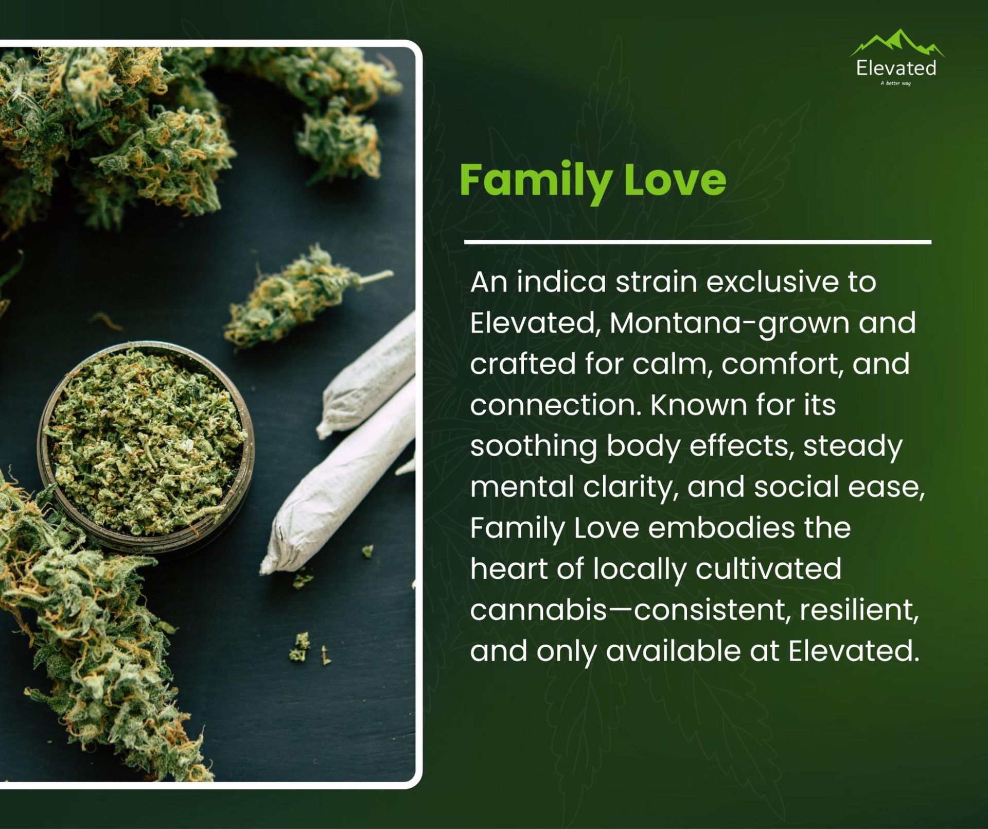 Family Love Strain Guide – Montana Cannabis | Elevated