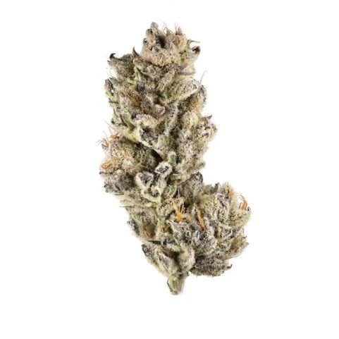 Marijuana in the Military: Rules, Testing & Veteran Use