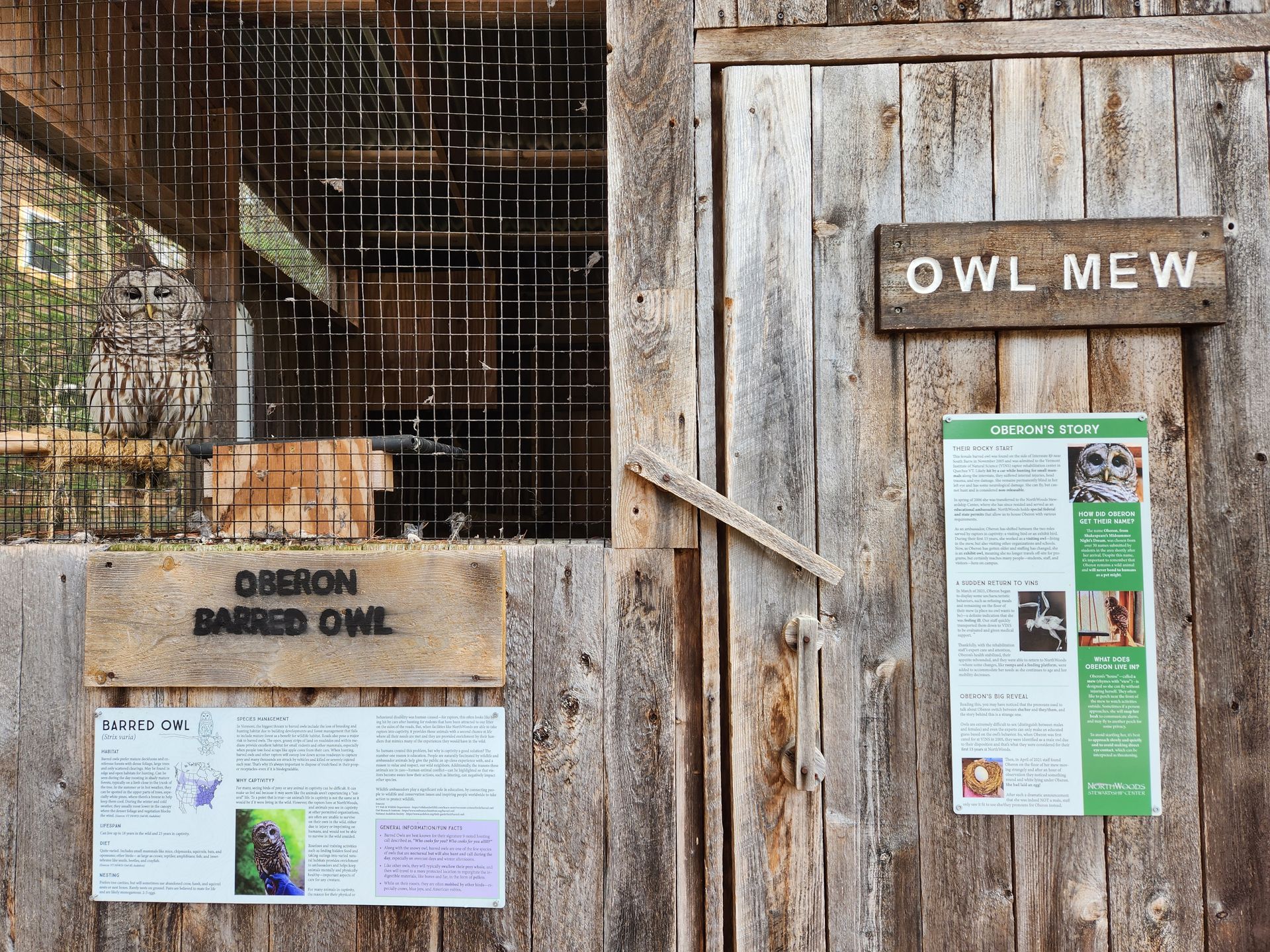 Reflections from the 2022 KT Mini-Grant Program!