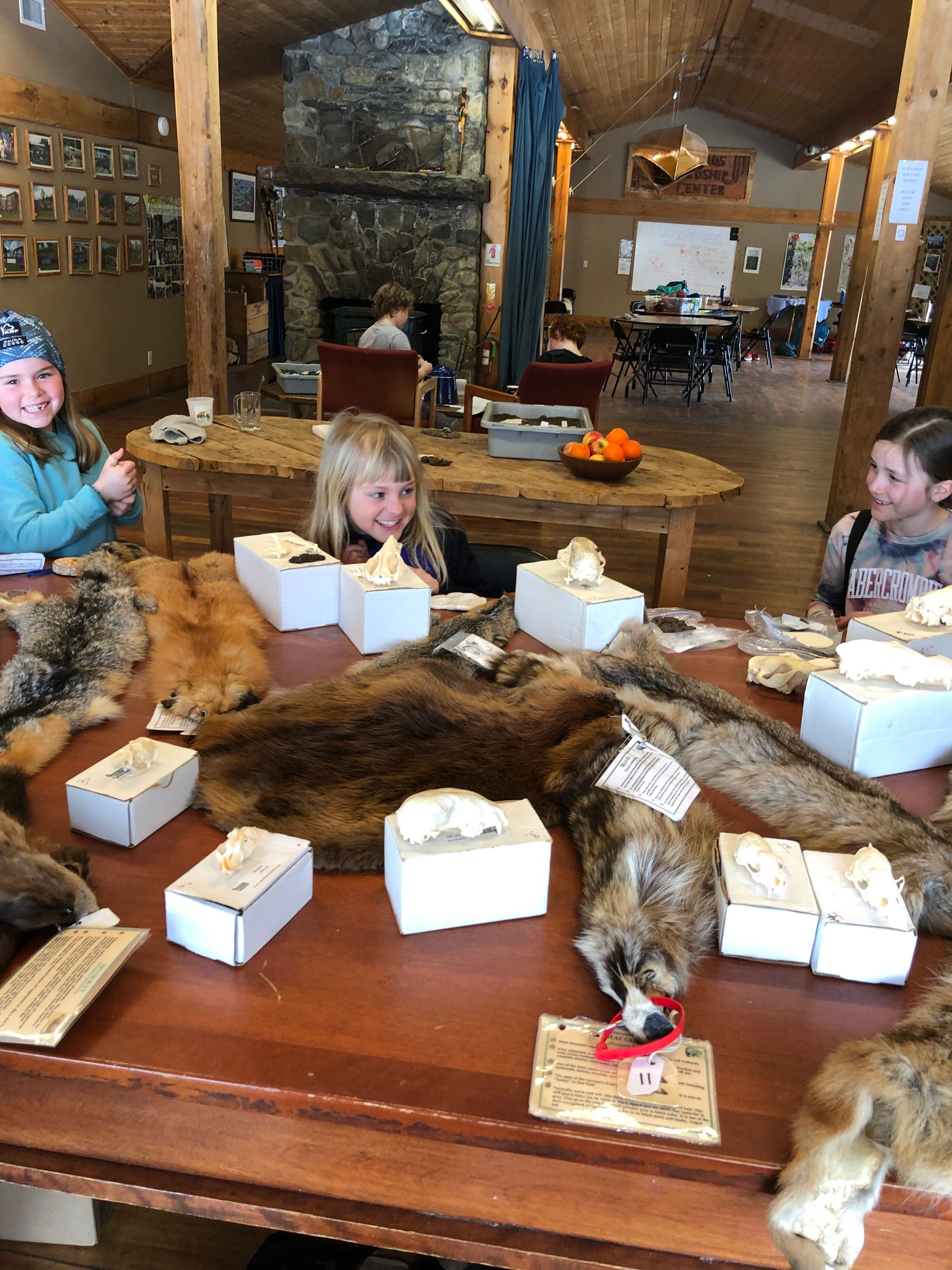 Reflections from the 2022 KT Mini-Grant Program!