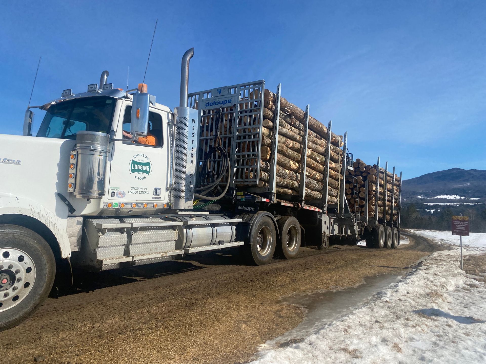 Sustainable Timber Harvest on Darling Hill Parcel