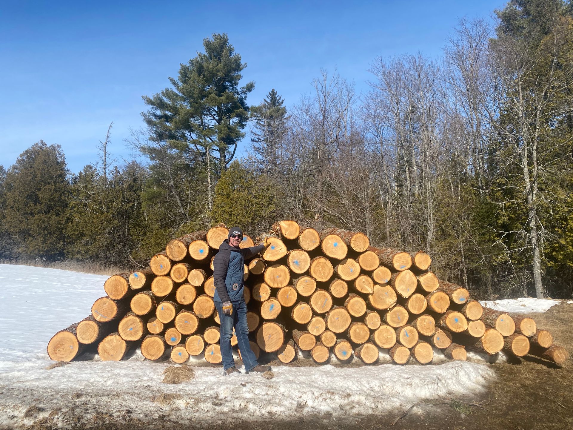 Sustainable Timber Harvest on Darling Hill Parcel