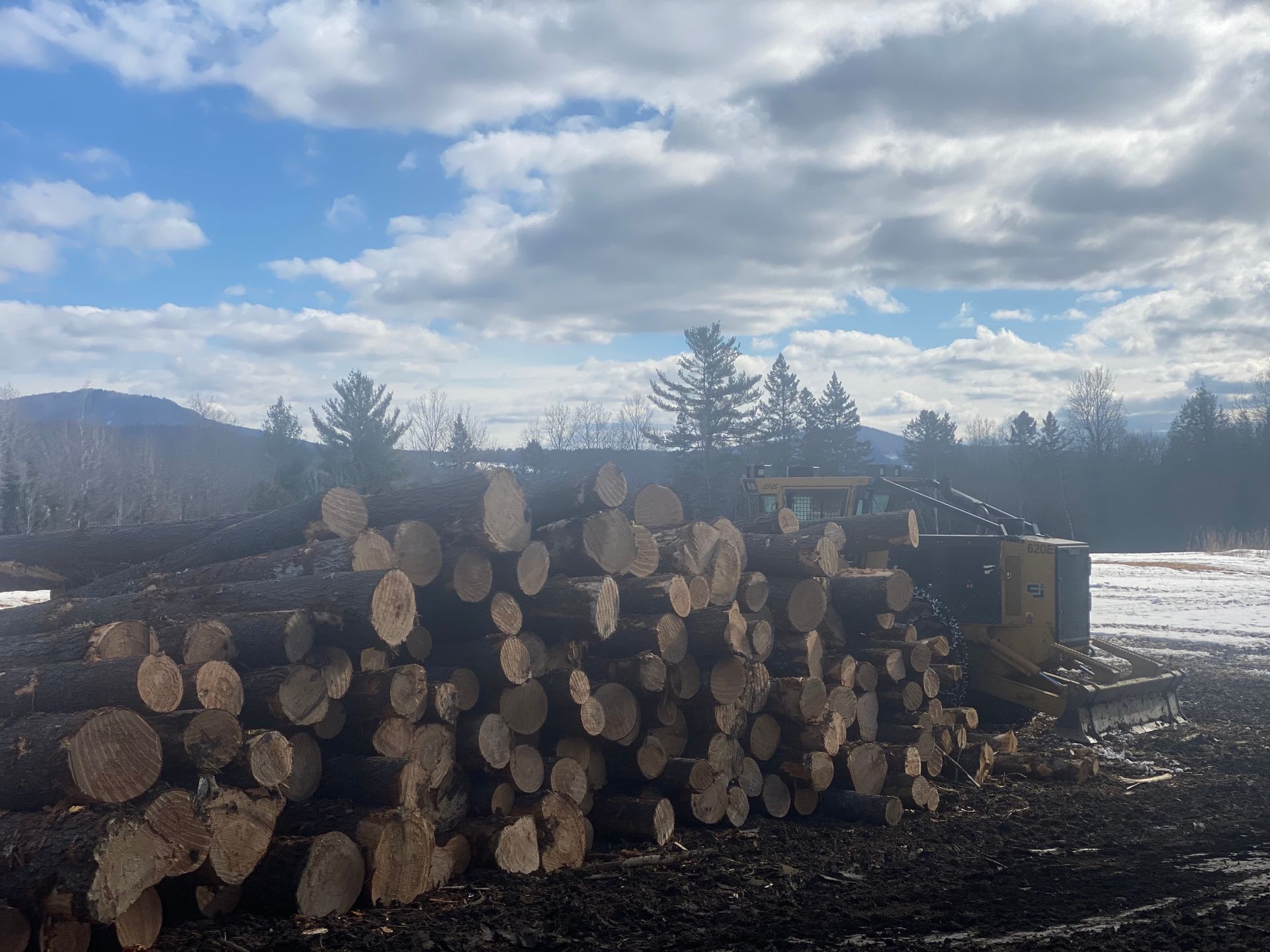 Sustainable Timber Harvest on Darling Hill Parcel