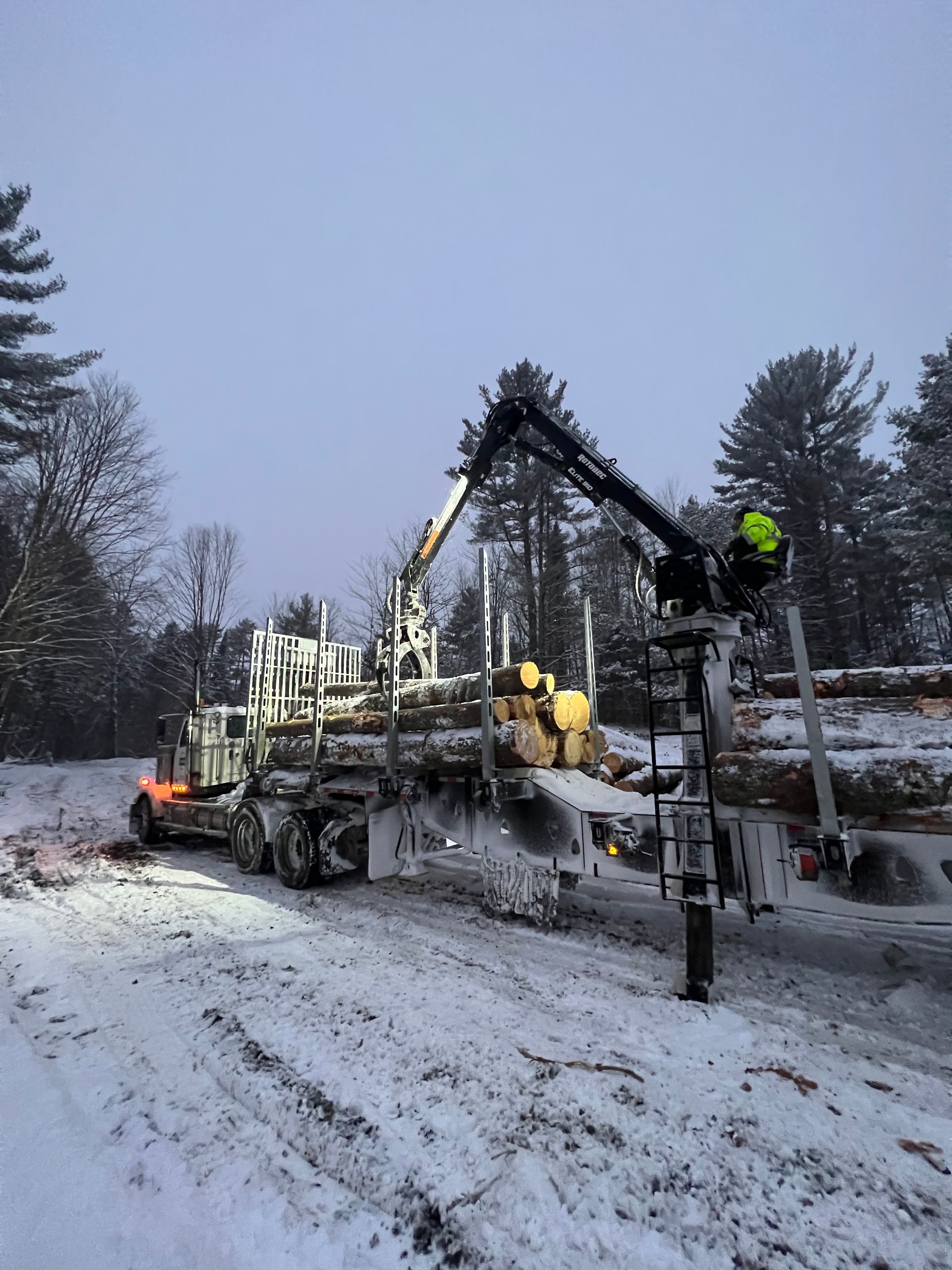 Sustainable Timber Harvest on Darling Hill Parcel