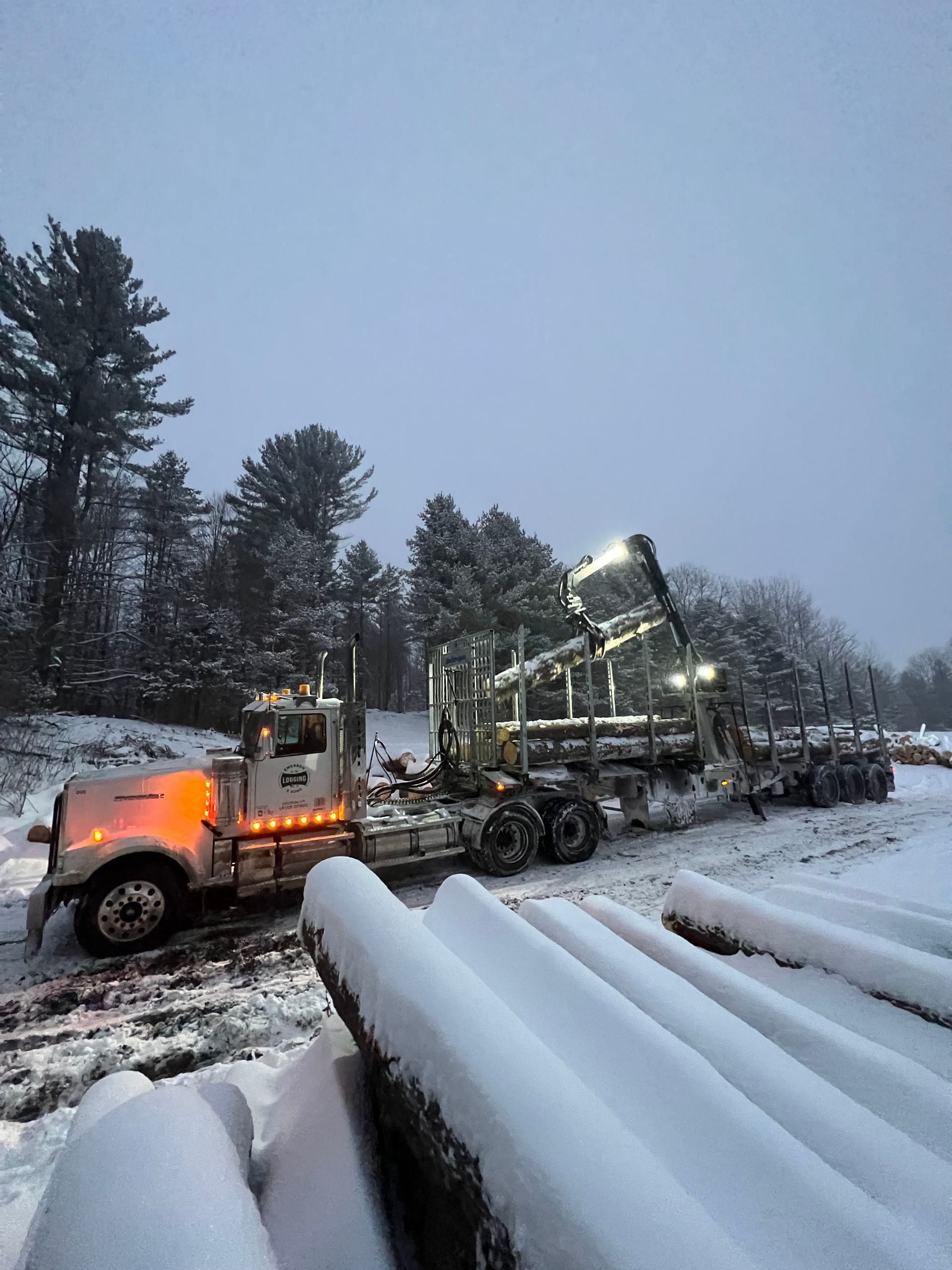 Sustainable Timber Harvest on Darling Hill Parcel