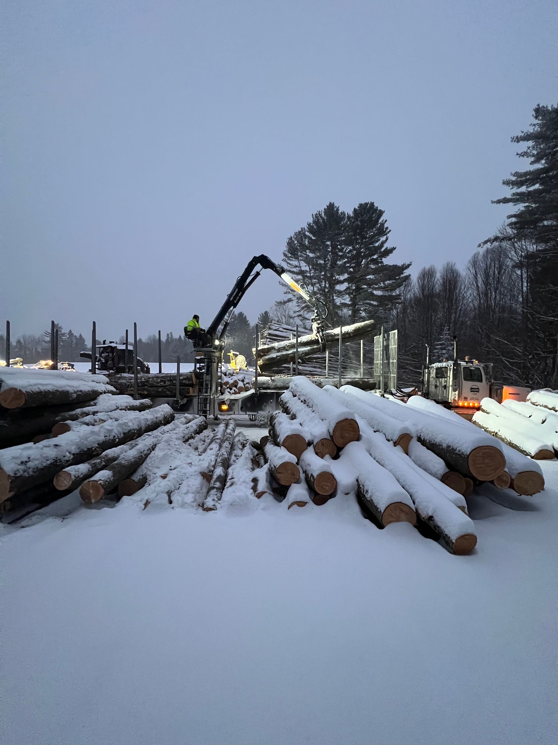 Sustainable Timber Harvest on Darling Hill Parcel