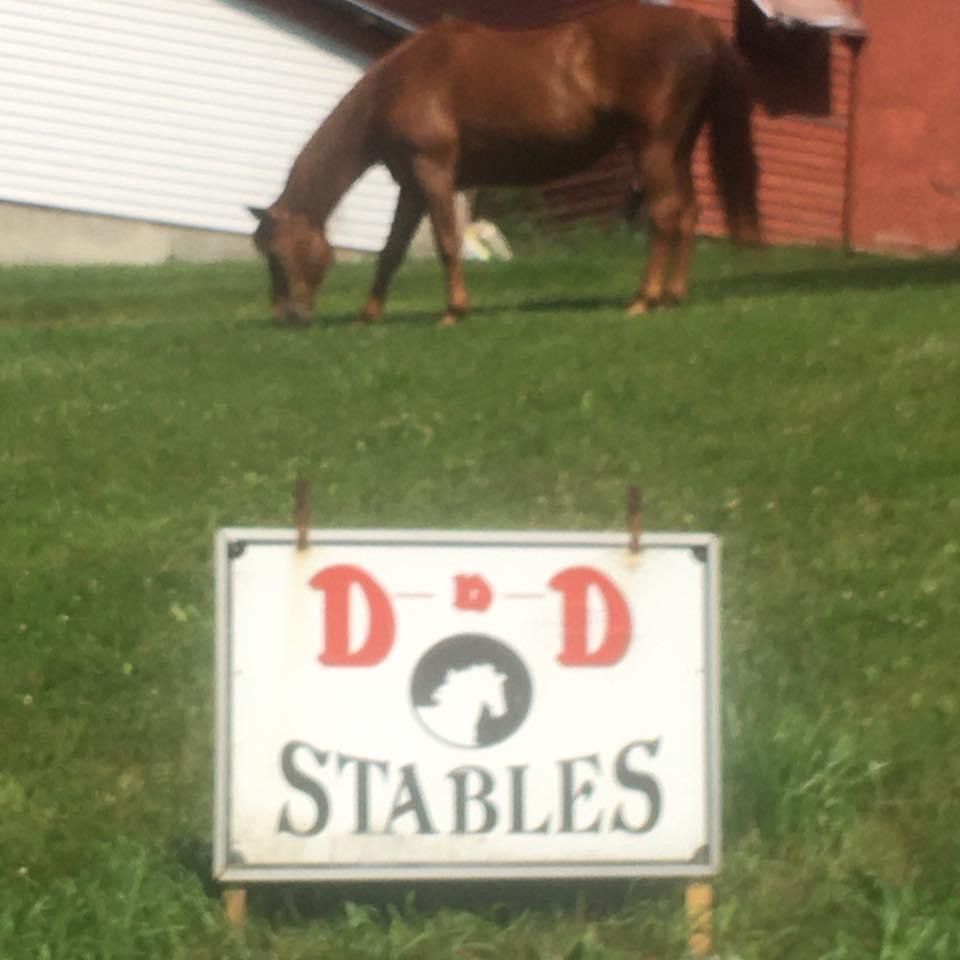 Visit the Northeast Kingdom of Vermont - Visit KTA