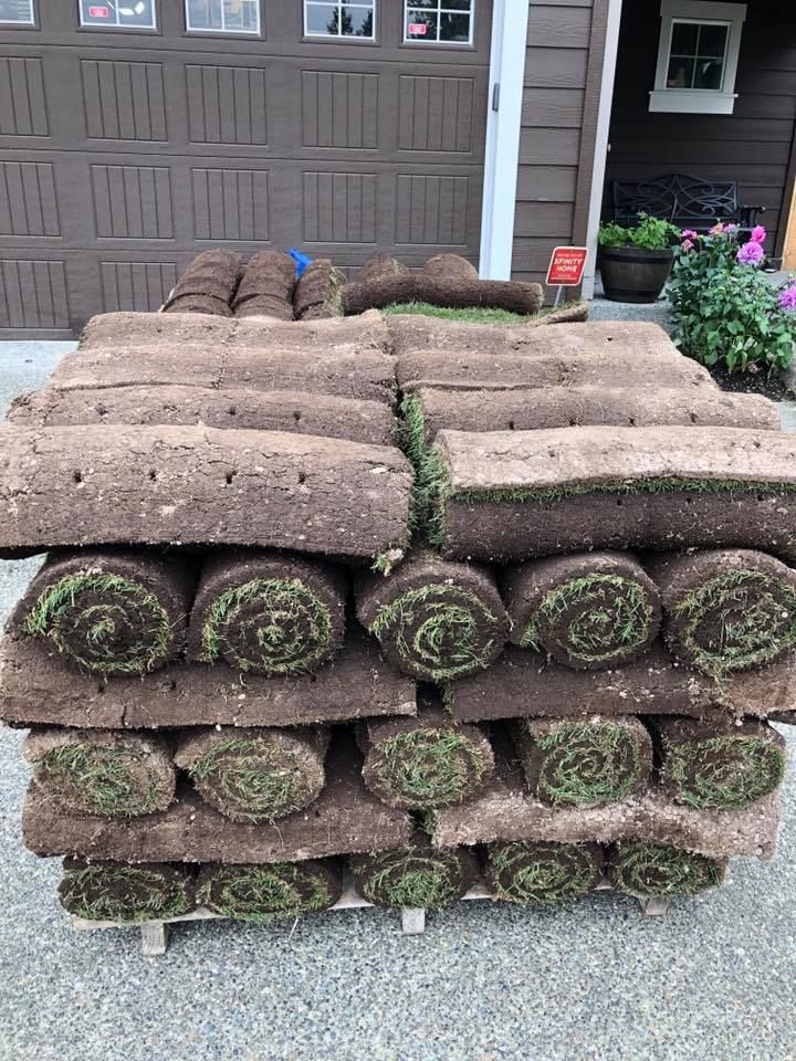 Sod Products & Pricing | Washington Sod and Turf