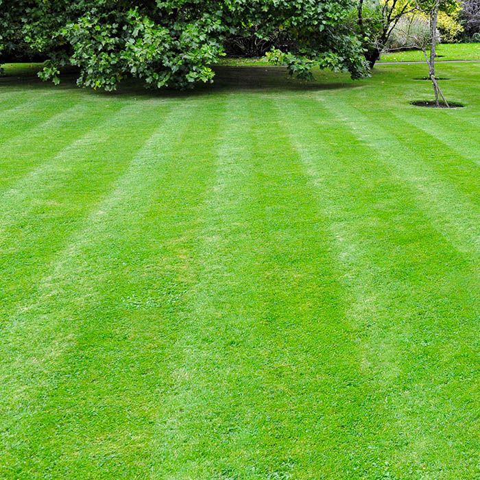 Landscaping Services, Hardscaping Services | North Webster, Syracuse ...