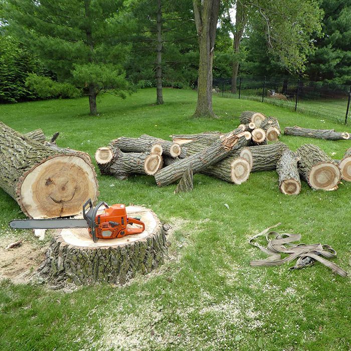 Landscaping Services, Hardscaping Services | North Webster, Syracuse ...