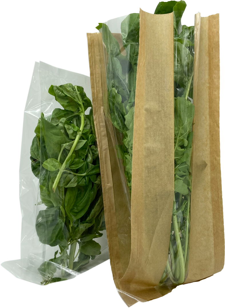 Empaques Compostables 2050 Costa Rica