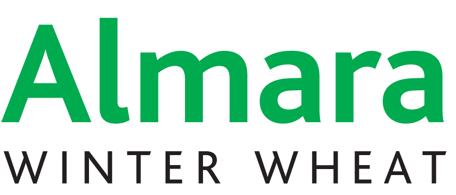 Almara Winter Wheat - Senova