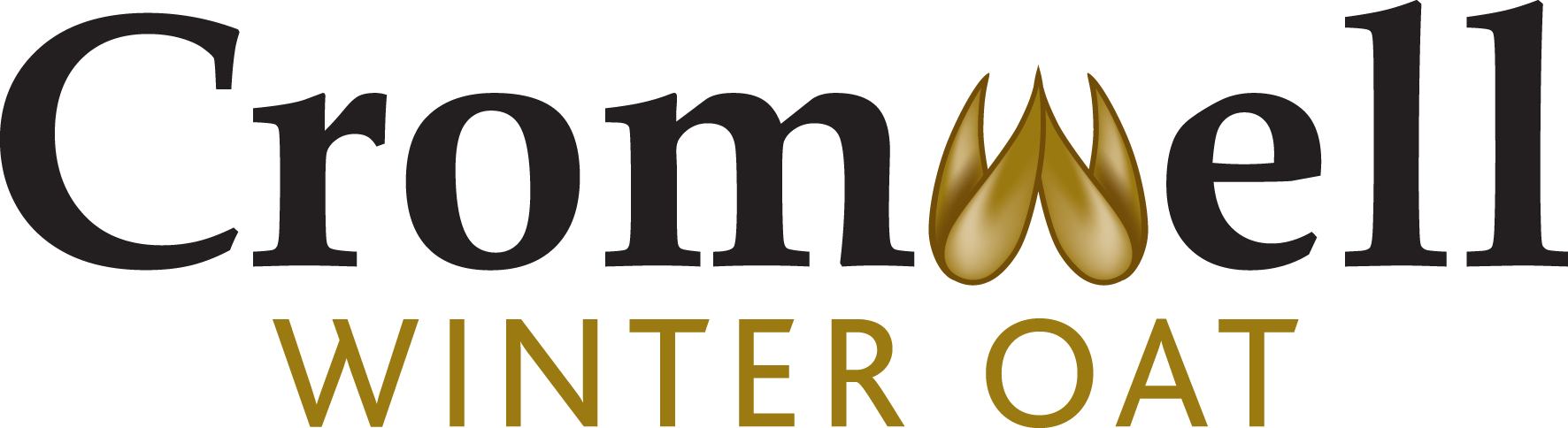 Cromwell Winter Oat - Senova