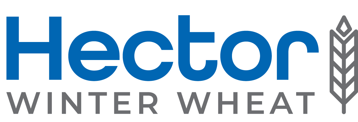 Hector Winter Wheat - Senova