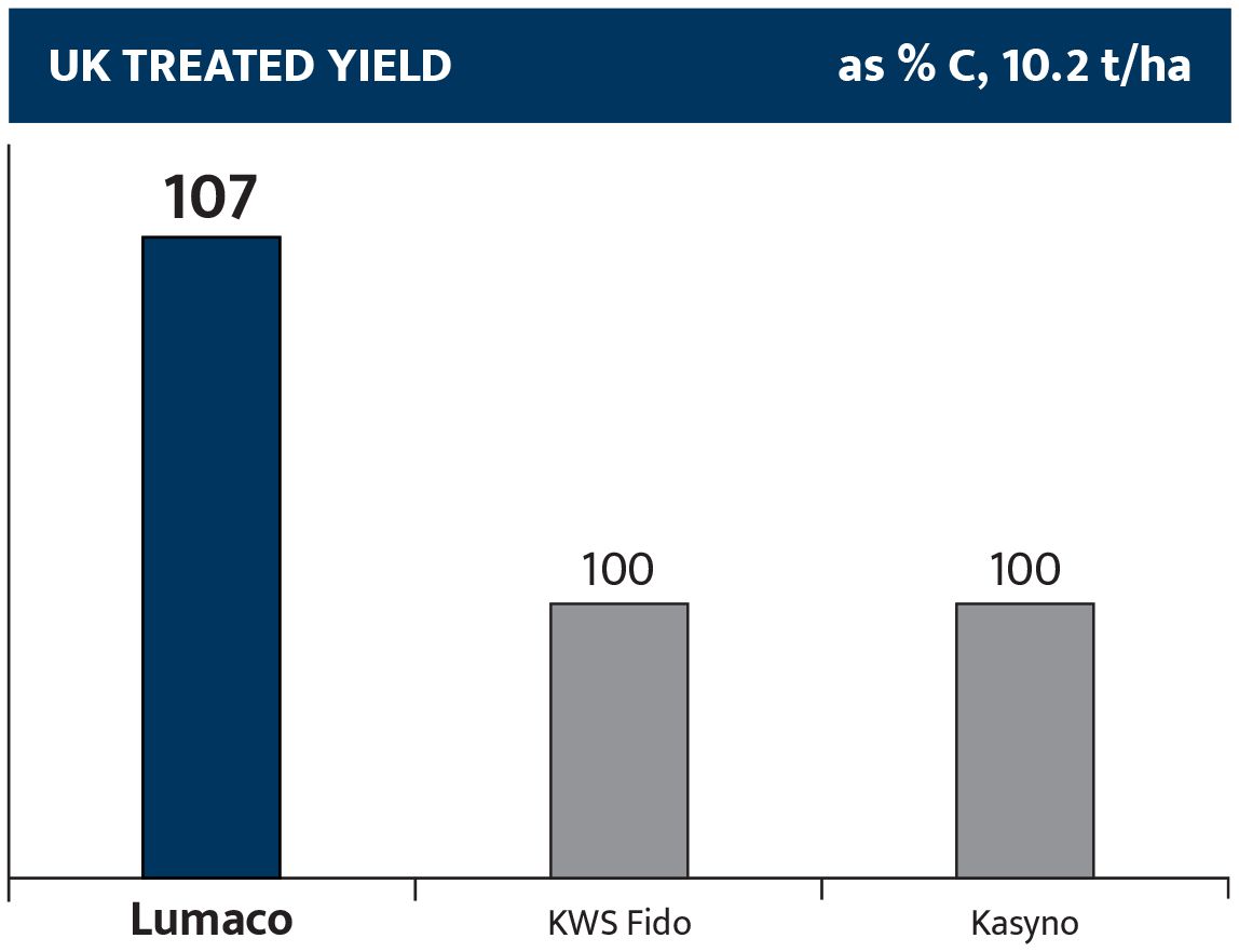 Lumaco winter triticale - Senova