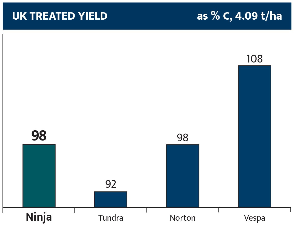 Ninja Winter Bean-Senova