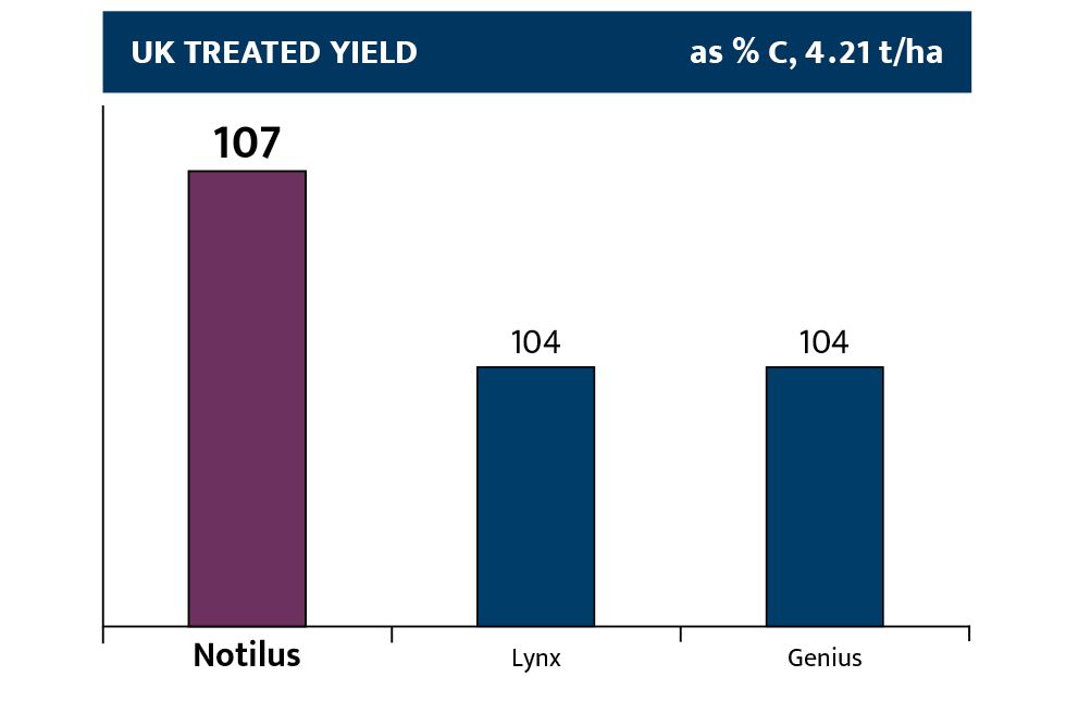 Notilus Spring Bean-Senova