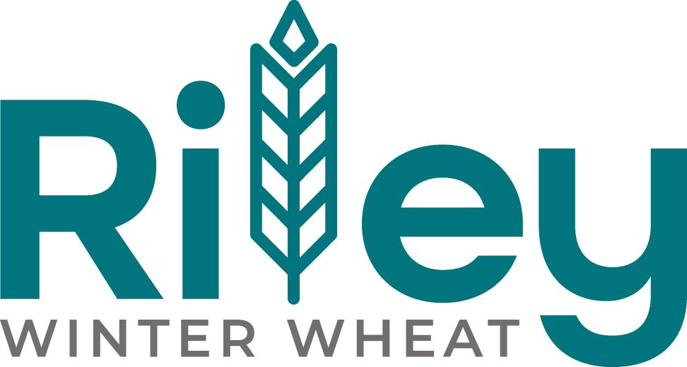 Riley Winter Wheat - Senova