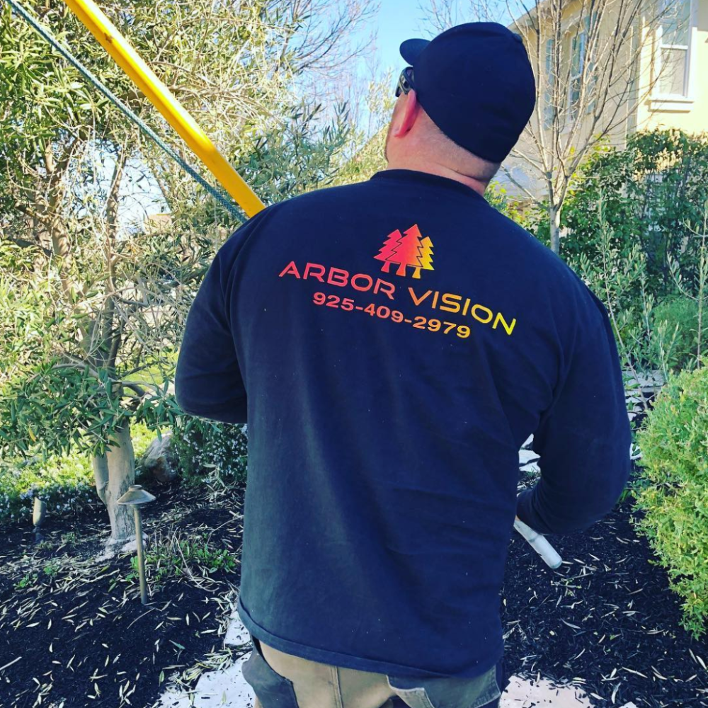 Municipal Tree Removal Permit Arborist Reports • Arbor Vision, Inc