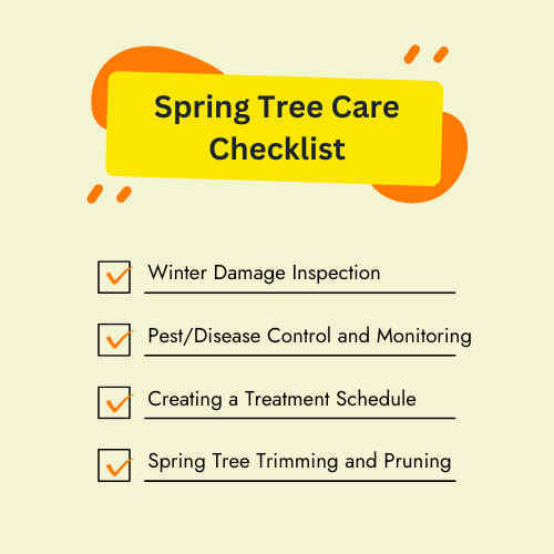 Seasonal Tree Care Guide | Expert Tips by Arbor Vision Inc