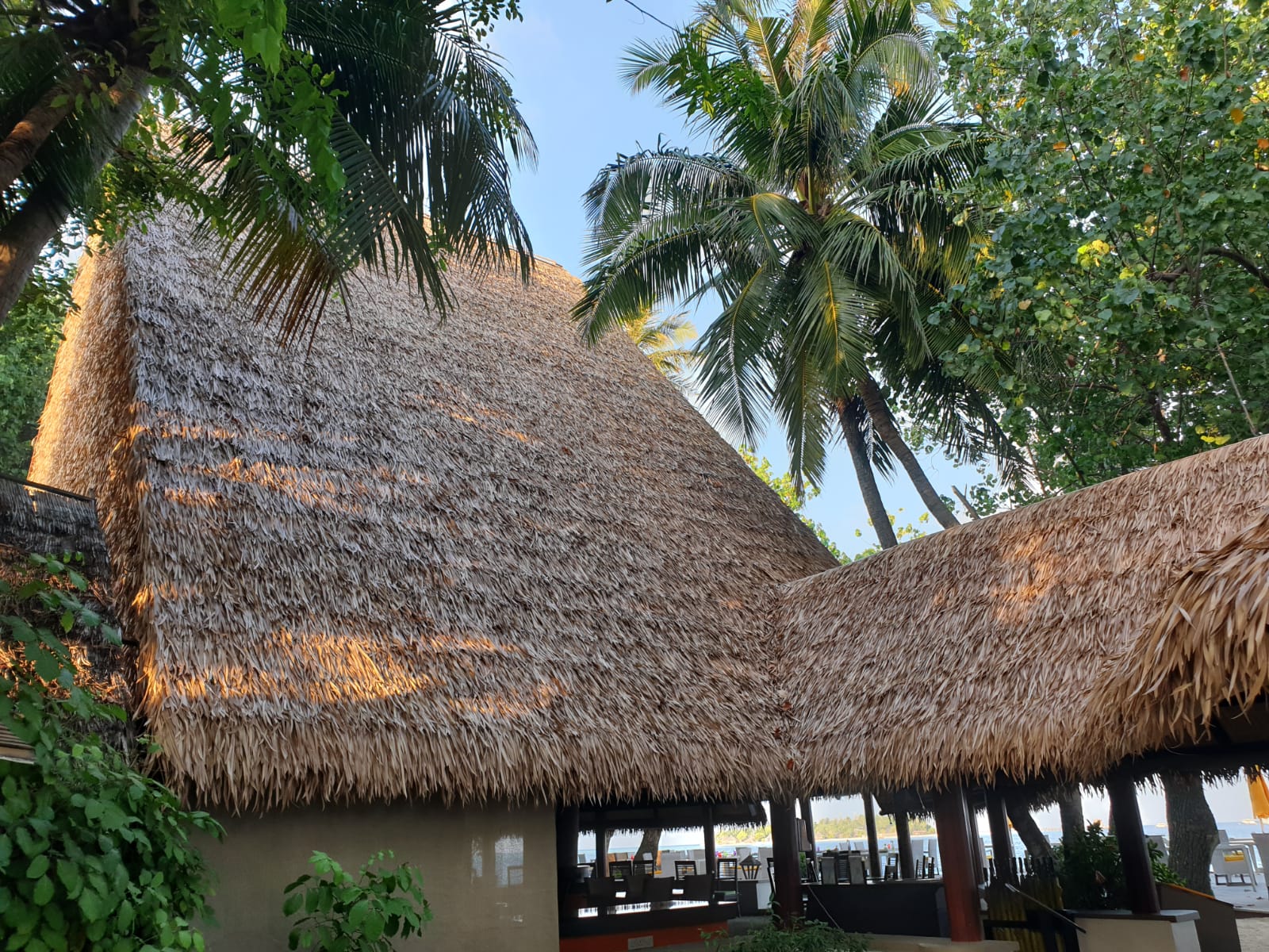 Thatch Roofing Material: Discover Fiber Thatch