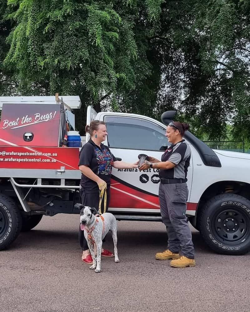 Termites Darwin | Arafura Pest Control