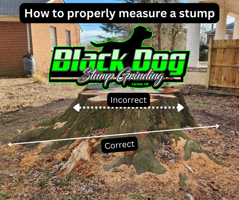 Our Work | Black Dog Stump Grinding