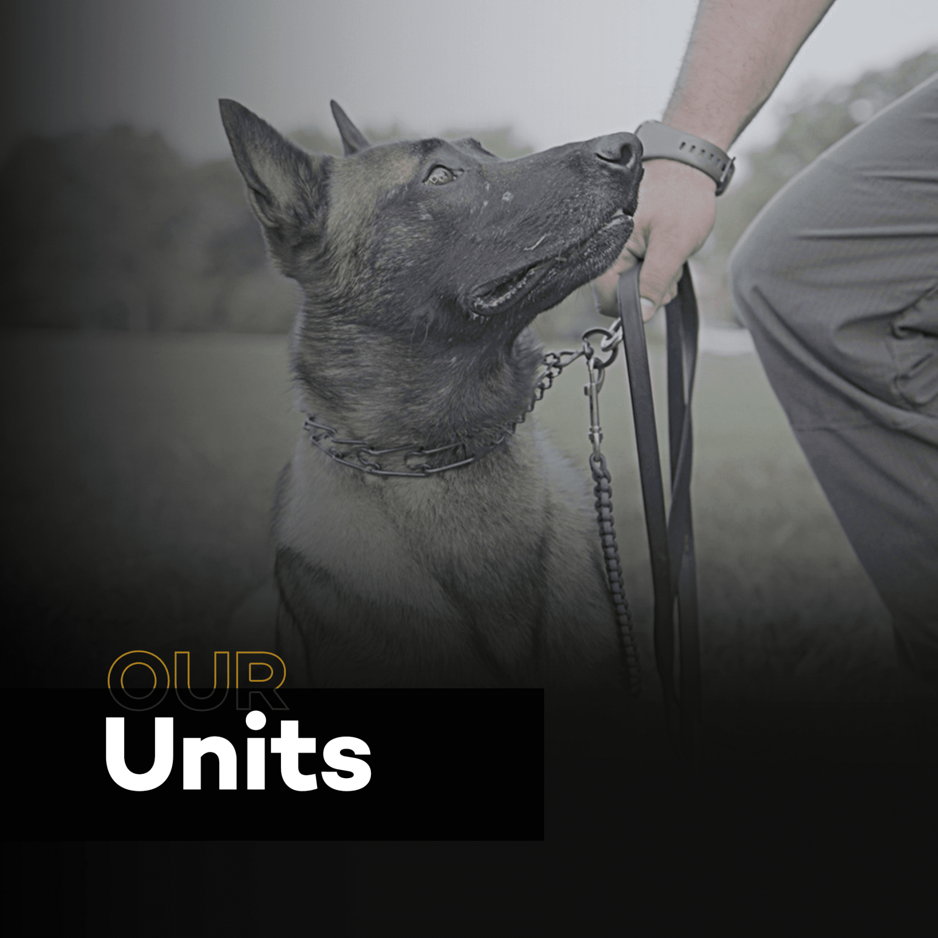 The Recruitment Site of the Highfill Police Department.