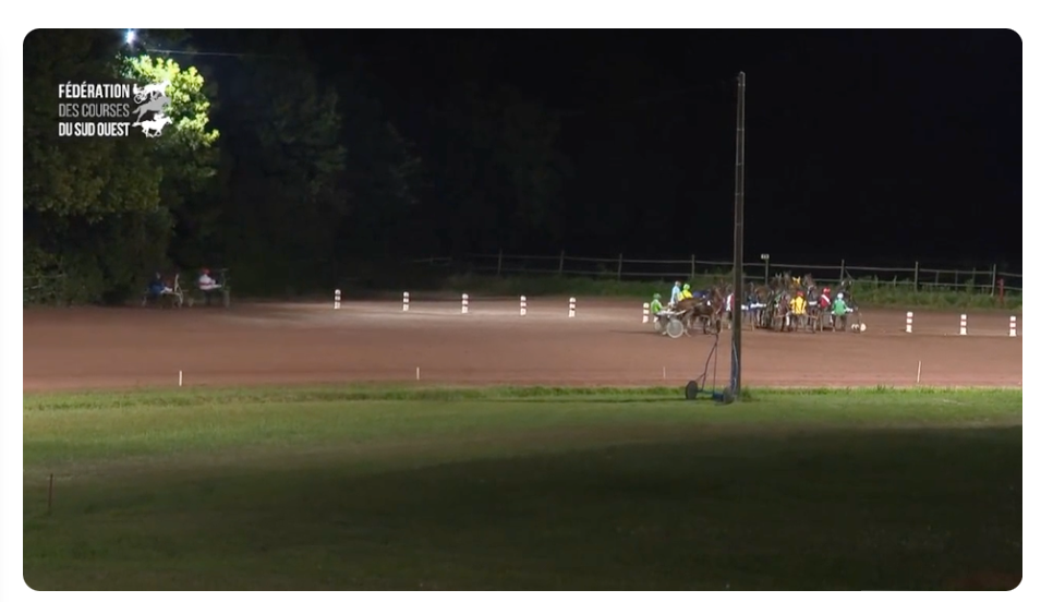 International Trot Horses