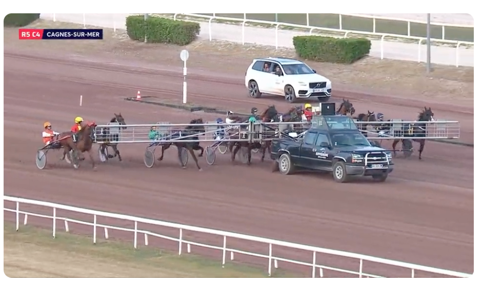 International Trot Horses