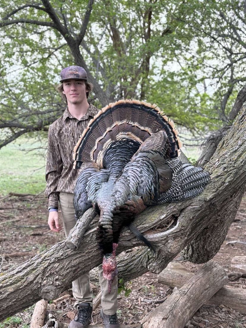 Turkey Hunting Photos | Rockin 69 Hunts