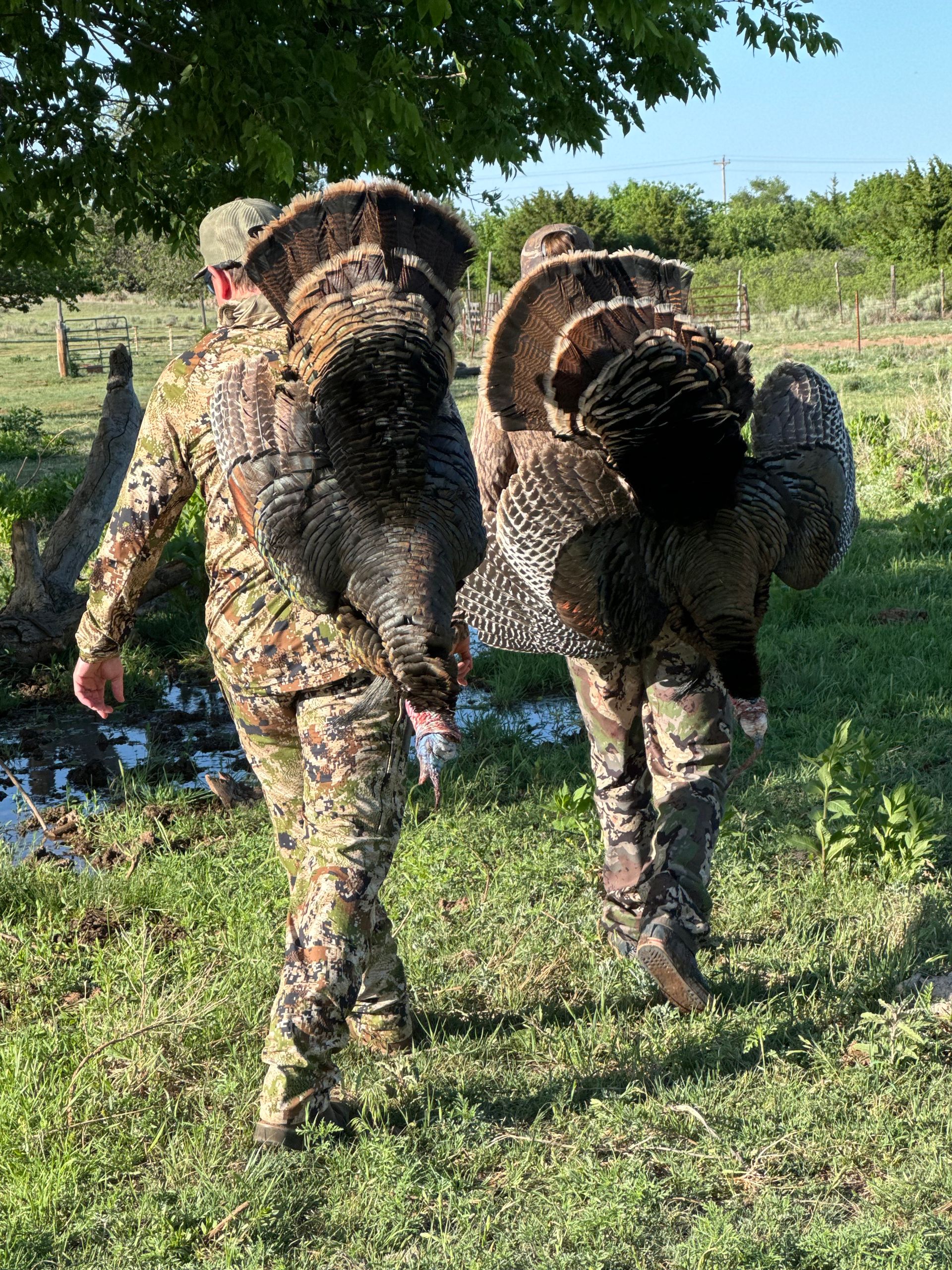 Turkey Hunting Photos | Rockin 69 Hunts